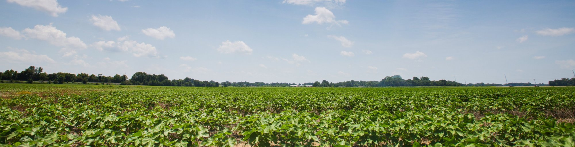 Governor Lee, Commissioner Rolfe Announce VF Corporation to Expand in ...